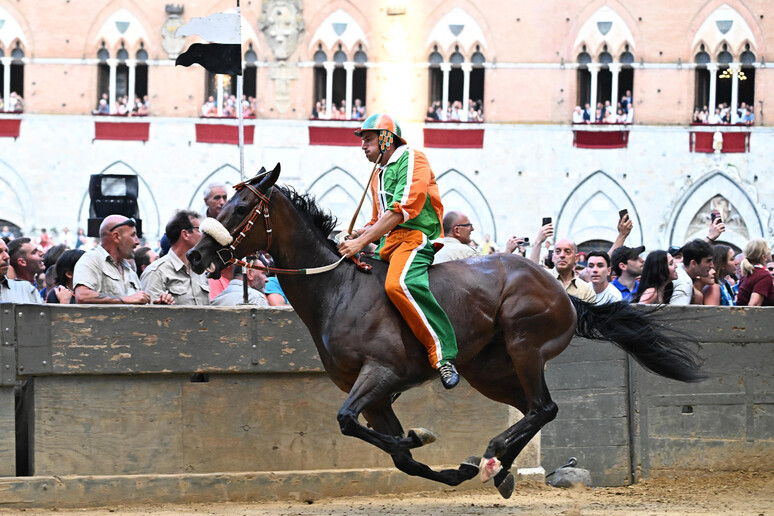 Tra fantini e cavalli c'è tanta Sardegna a Siena, tutto pronto per il Palio | Prima pagina ...